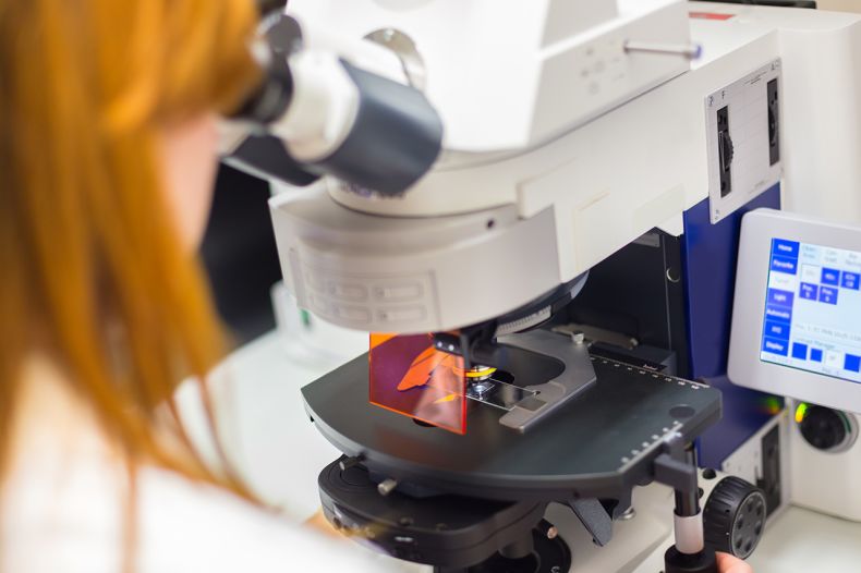 Die besten drei Biotech-ETFs auf dem Markt - Finanzen100