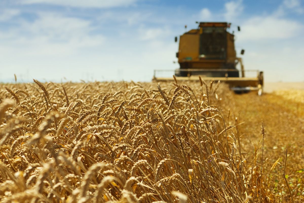 Bauern sind besorgt: Handelskrieg drückt Preise in Agrarwirtschaft ...